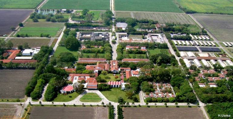 Agricultura: Ciat, 50 años cultivando para el mundo desde Palmira ...