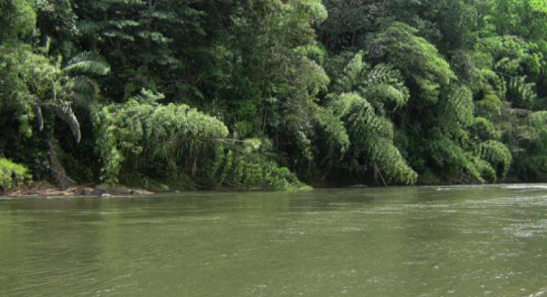 Agua en Quindío: “El río La Vieja es la alcantarilla del Quindío”: Luis ...