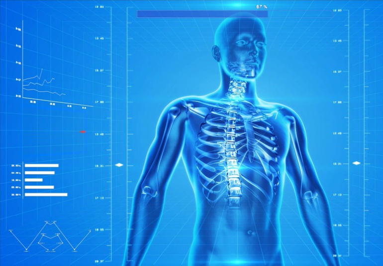 Intersticio, el “nuevo órgano del cuerpo humano” | Sanamente | Caracol ...