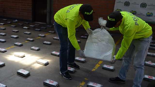 Hallan casi media tonelada de cocaína en un galpón de pollos en Necoclí ...