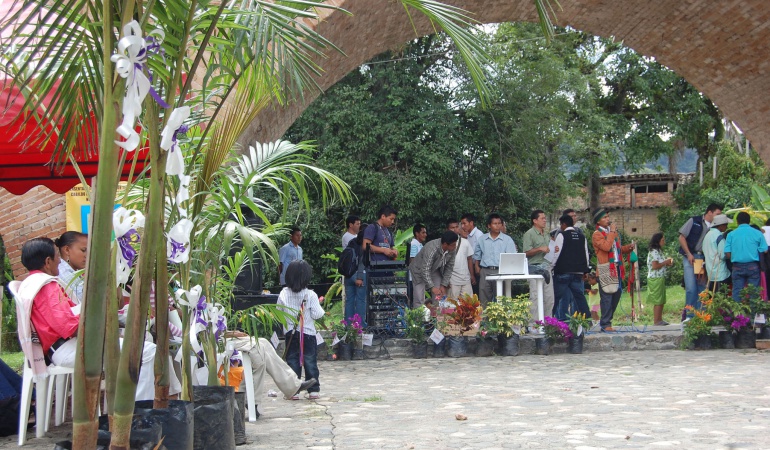 ONU premia a indígenas del pueblo Nasa | Regional | Caracol Radio