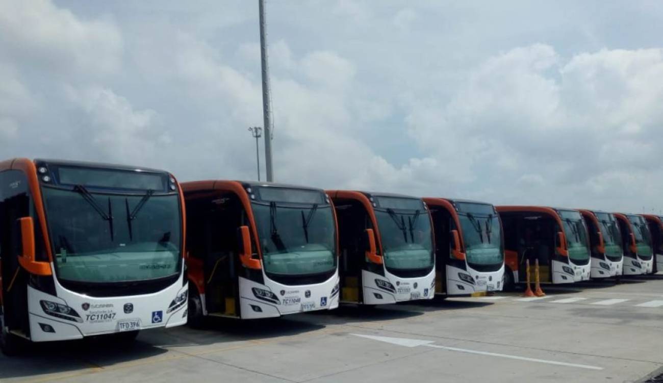 Incorporan 131 nuevos buses a operación de Transcaribe en Cartagena ...