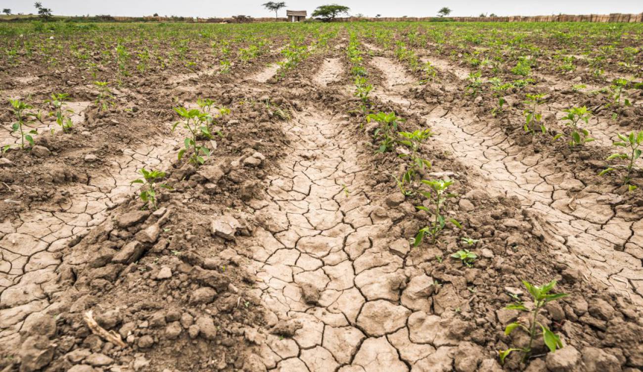 Culmina primer mes de temporada seca en Colombia: Se cumple el primer ...