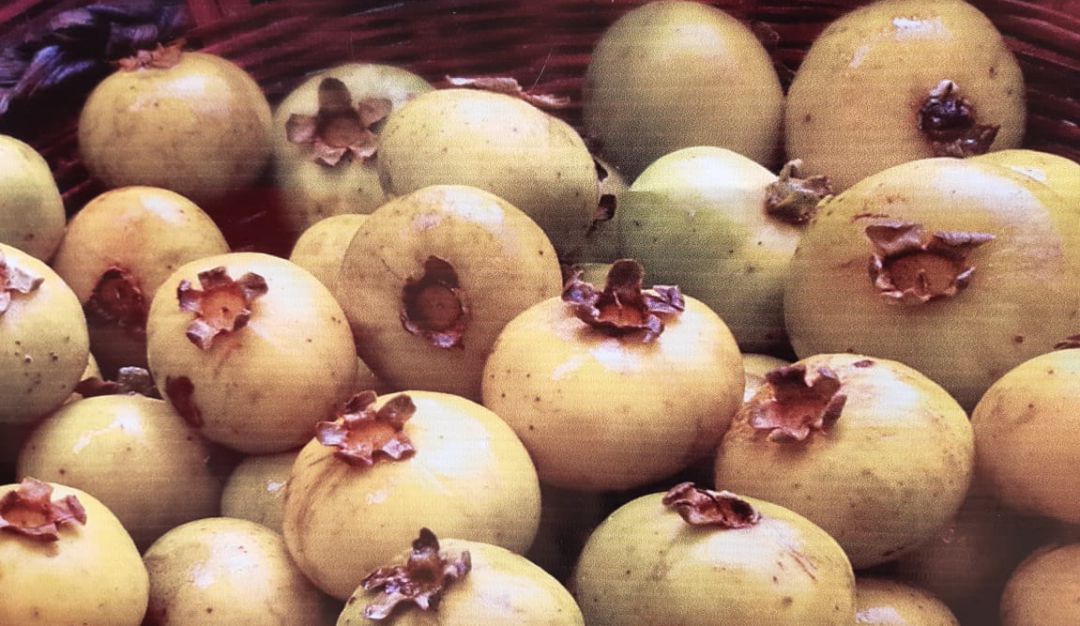 Frutas boyacenses: La chamba, una deliciosa fruta con sabor a Boyacá ...