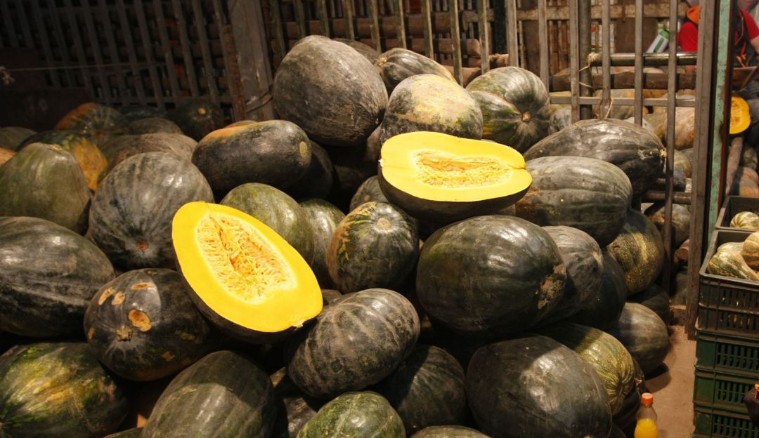 Riohacha, La Guajira, Cultivos, Auyama: Agua, piden productores de ...