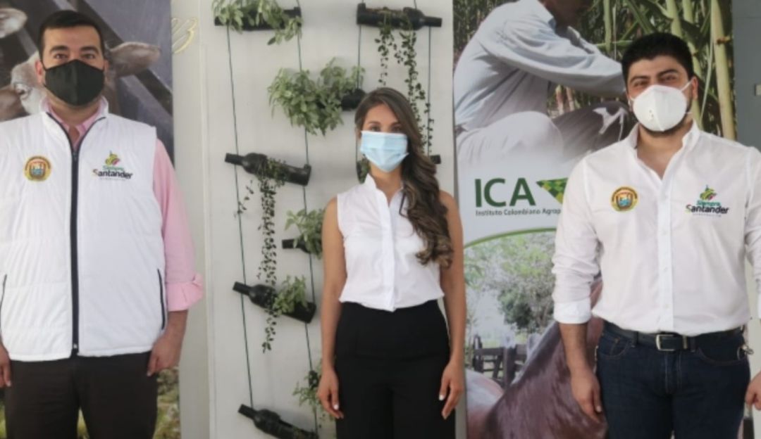 Bucaramanga Laboratorio COVID-19 ICA Muestras Desinfección: Por ...