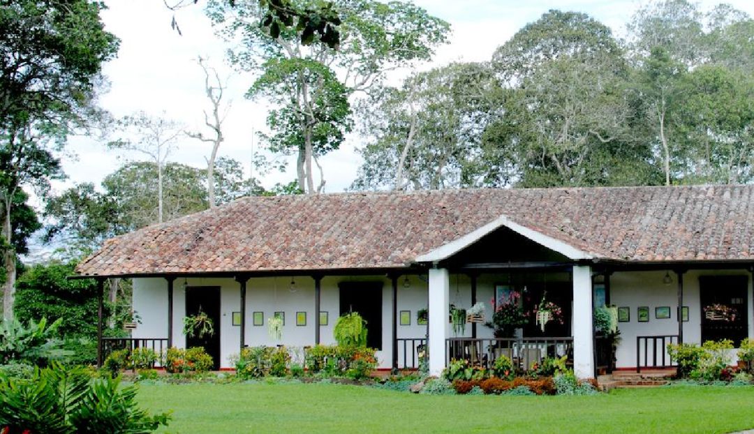 BUCARAMANGA, CAFE, EL ROBLE, LOS SANTOS, SANTANDER: Hacienda El Roble ...