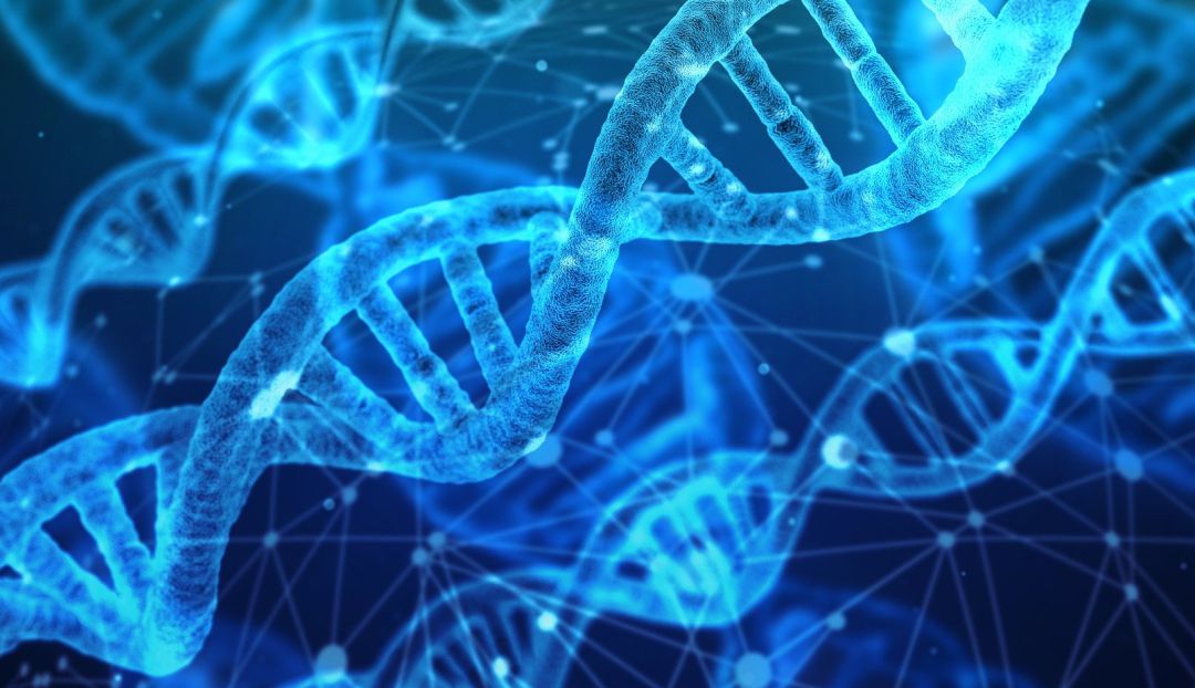 Medicina Genómica en el país: Clínica Imbanaco crea estrategia para ...