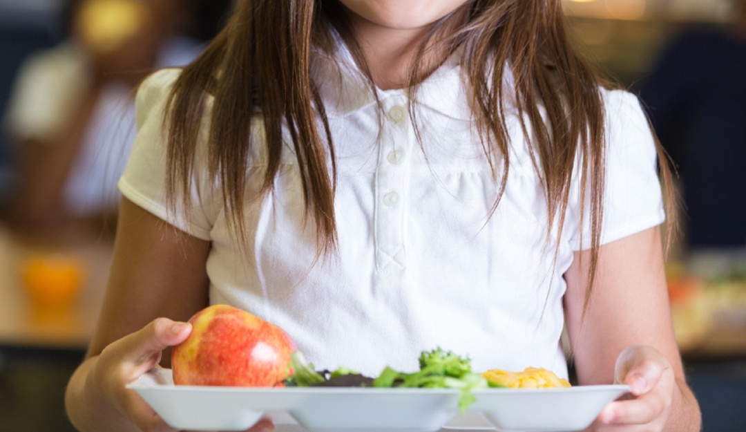Entrega del PAE en Cúcuta: Ministerio Público monitorea entrega del PAE ...